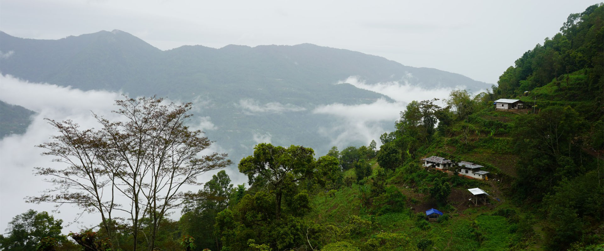 Climate Change Adaptation Initiatives – Tarayana Foundation